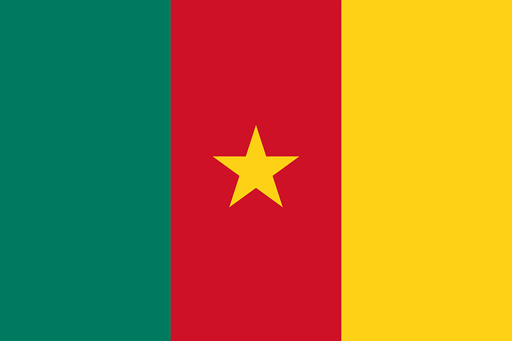 List Of Accredited Universities In Cameroon By NUC Nigeria (2024)