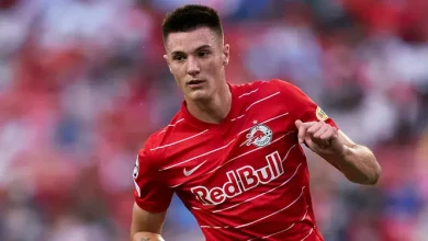 Benjamin Šeško's Biography and Net Worth