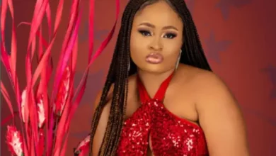 Amaka BBNaija Biography and Net Worth